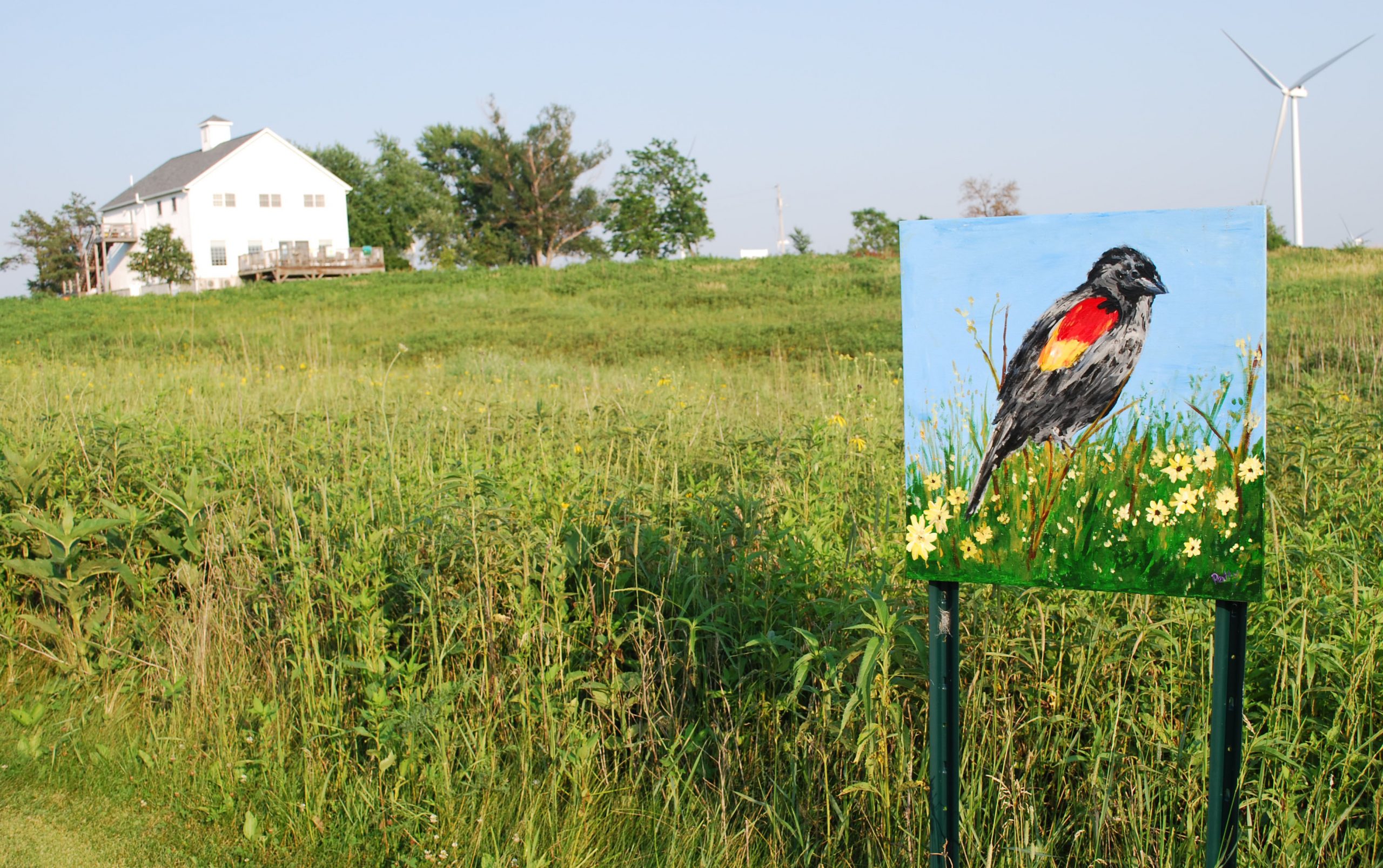 Home - The Wallace Centers of Iowa