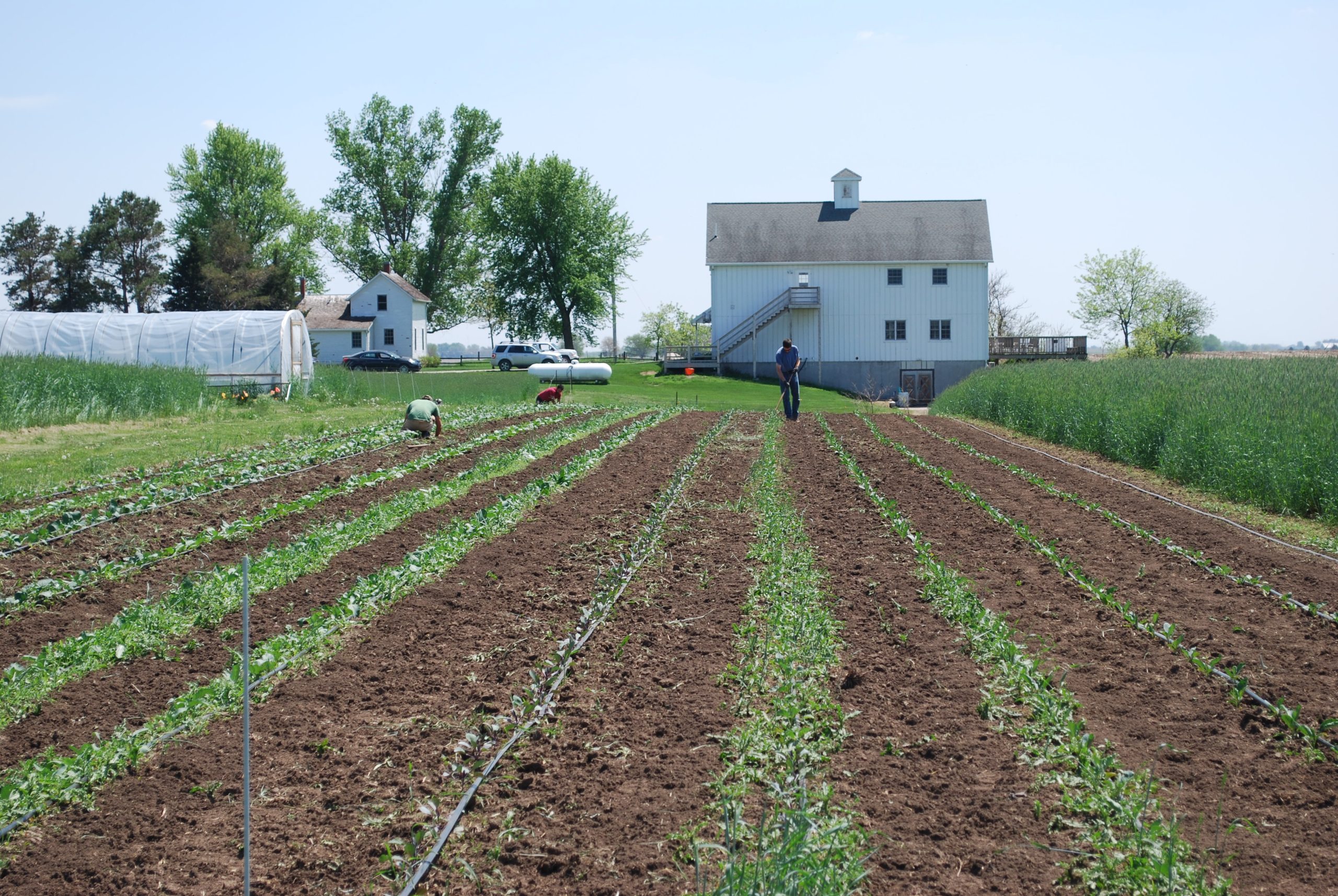 Wallace Farm - The Wallace Centers of Iowa
